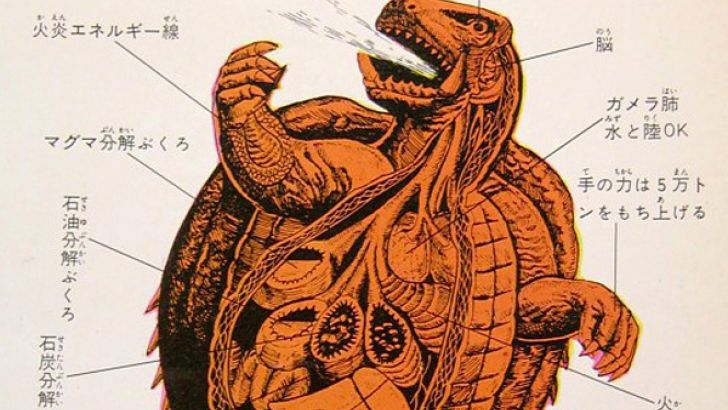 Kaiju Anatomy | Clutter Magazine